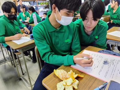 芦高ブログ - 熊本県立芦北高等学校